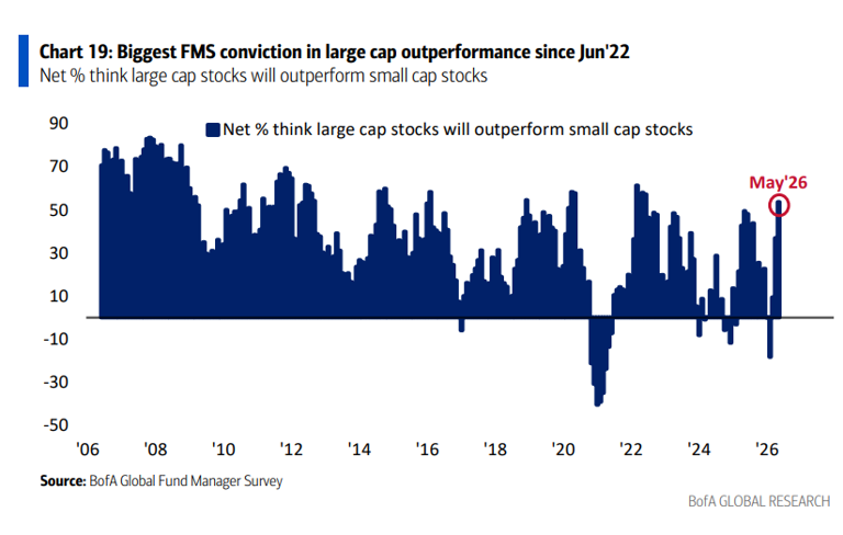 Large-cap conviction hits 2022 high - BofA