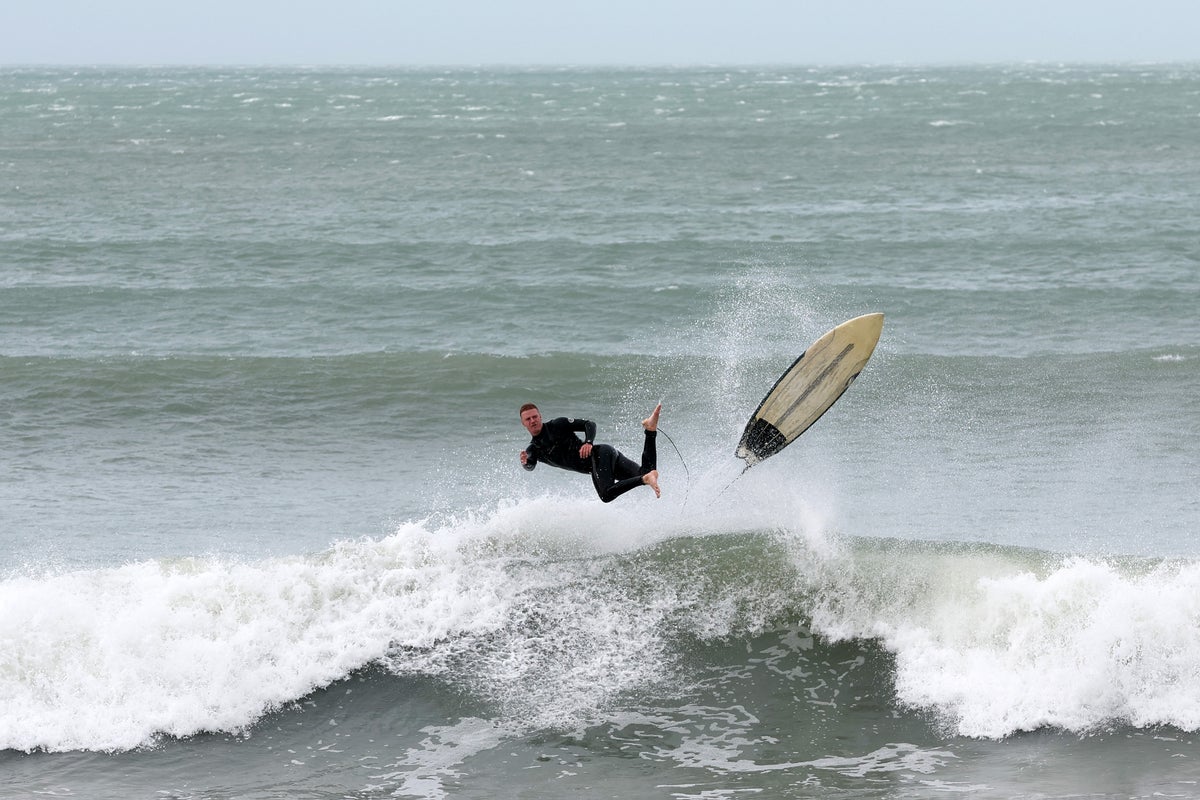 Mystery sea creature attack halts New Zealand surfing contest