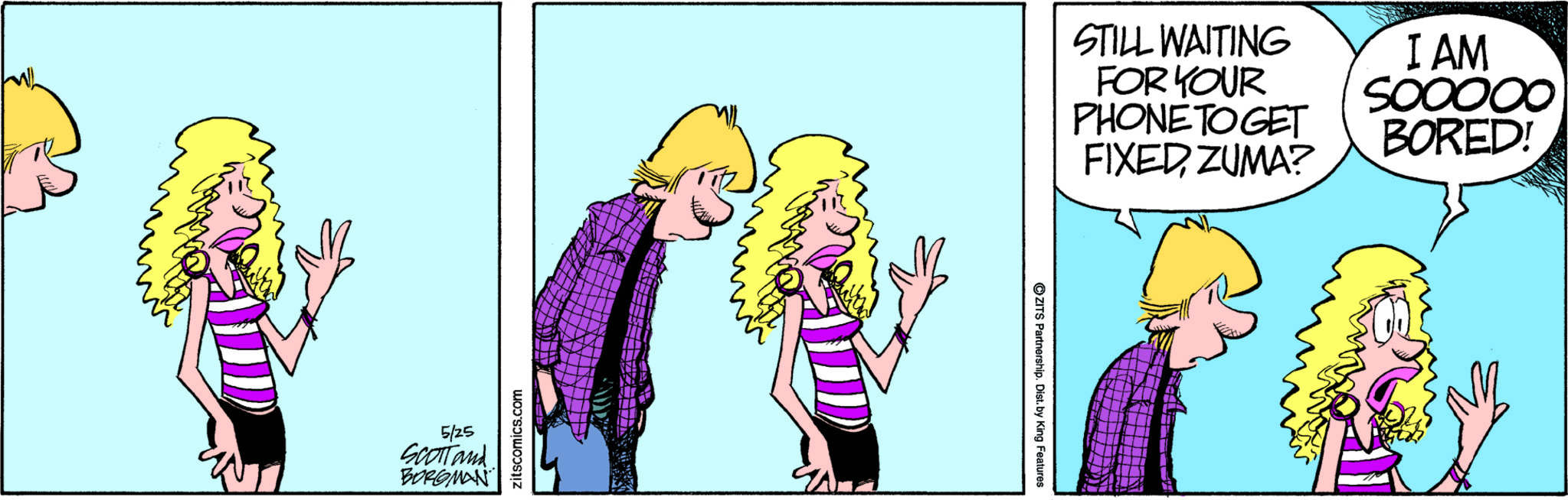 Zits by Jerry Scott and Jim Borgman