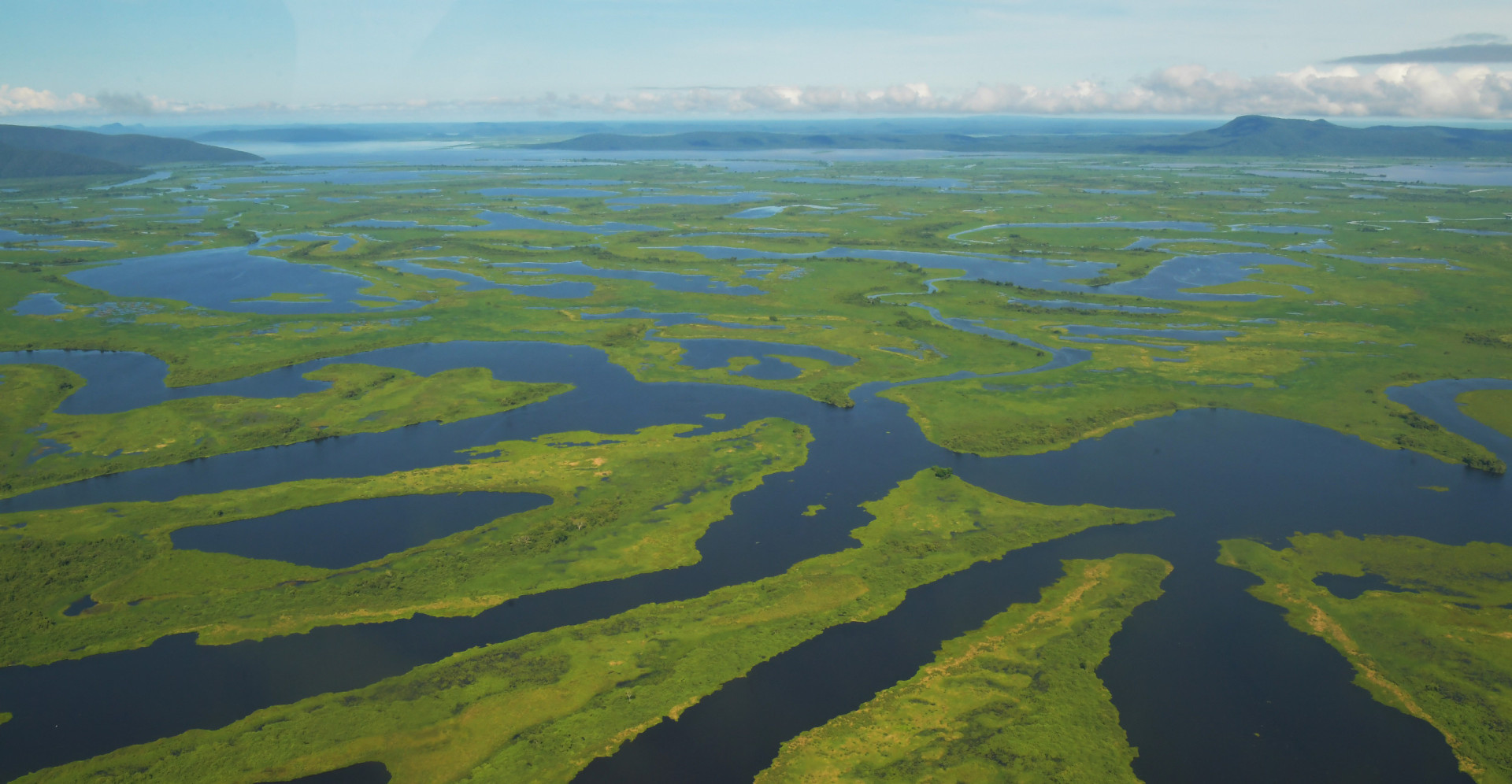 The most amazing wetlands in the world