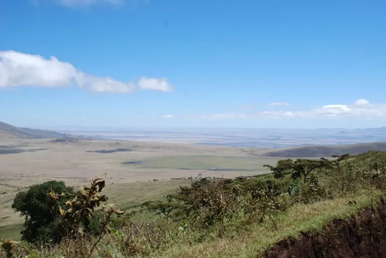 Scientists uncover signs that a brand-new tectonic plate boundary is ...