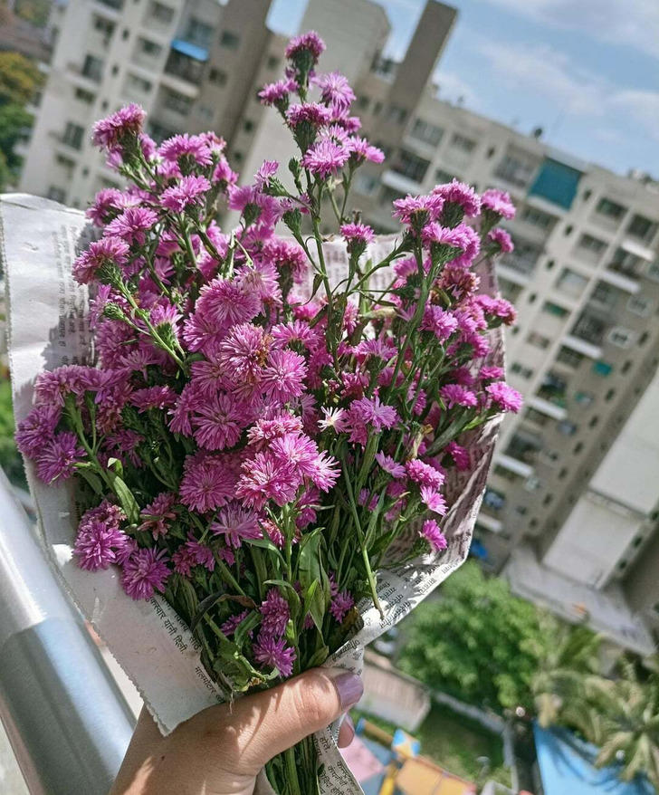 17 real flower shop stories where people bought not just a bouquet but ...