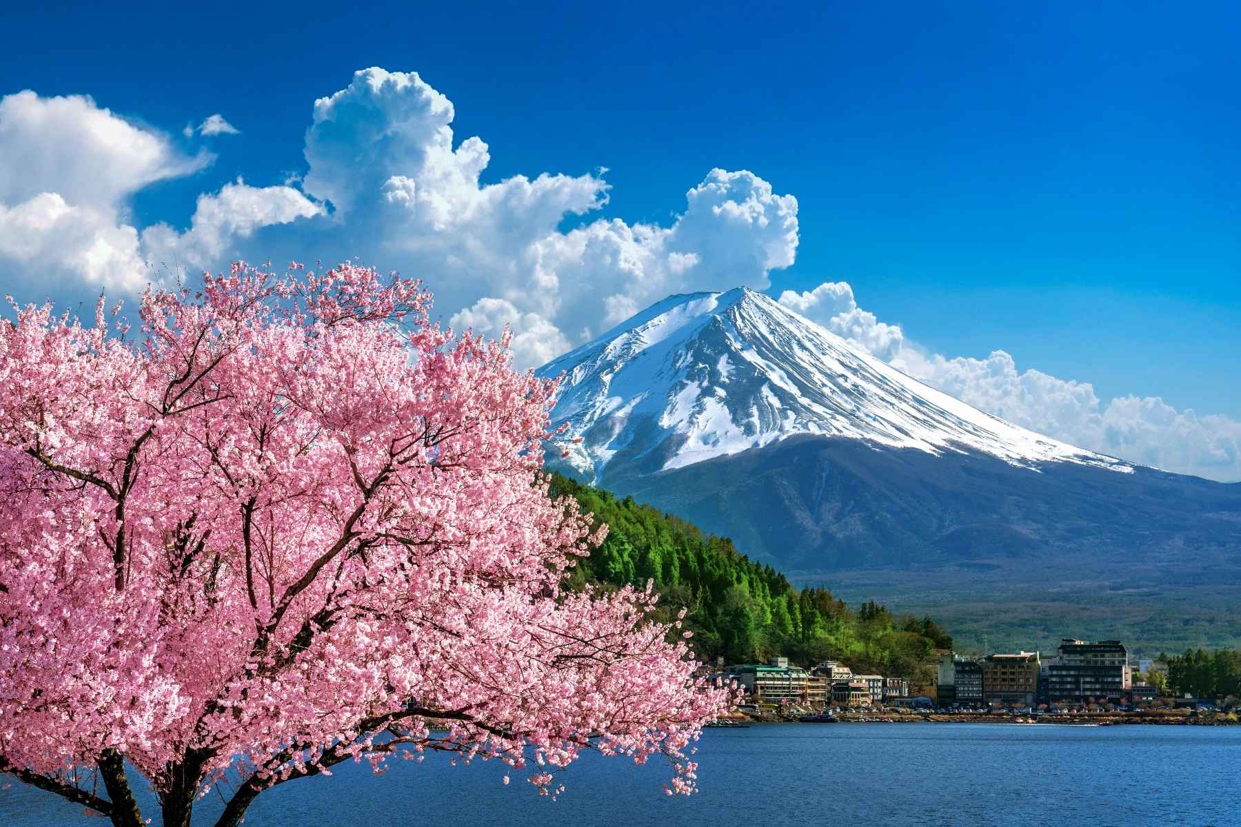 10 fascinating facts about Japan that most travelers miss