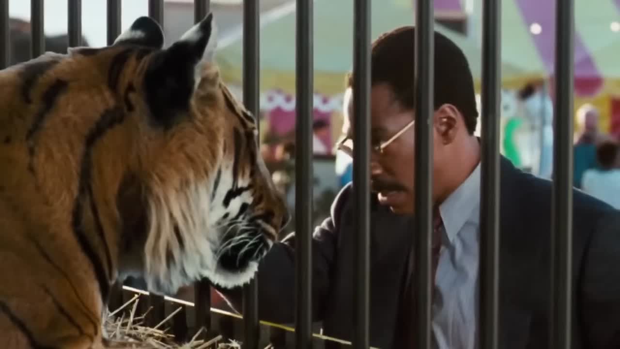 Surprising lessons from Doctor Dolittle