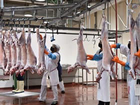 UAE outlines 12 health measures for safe Eid Al Adha slaughtering