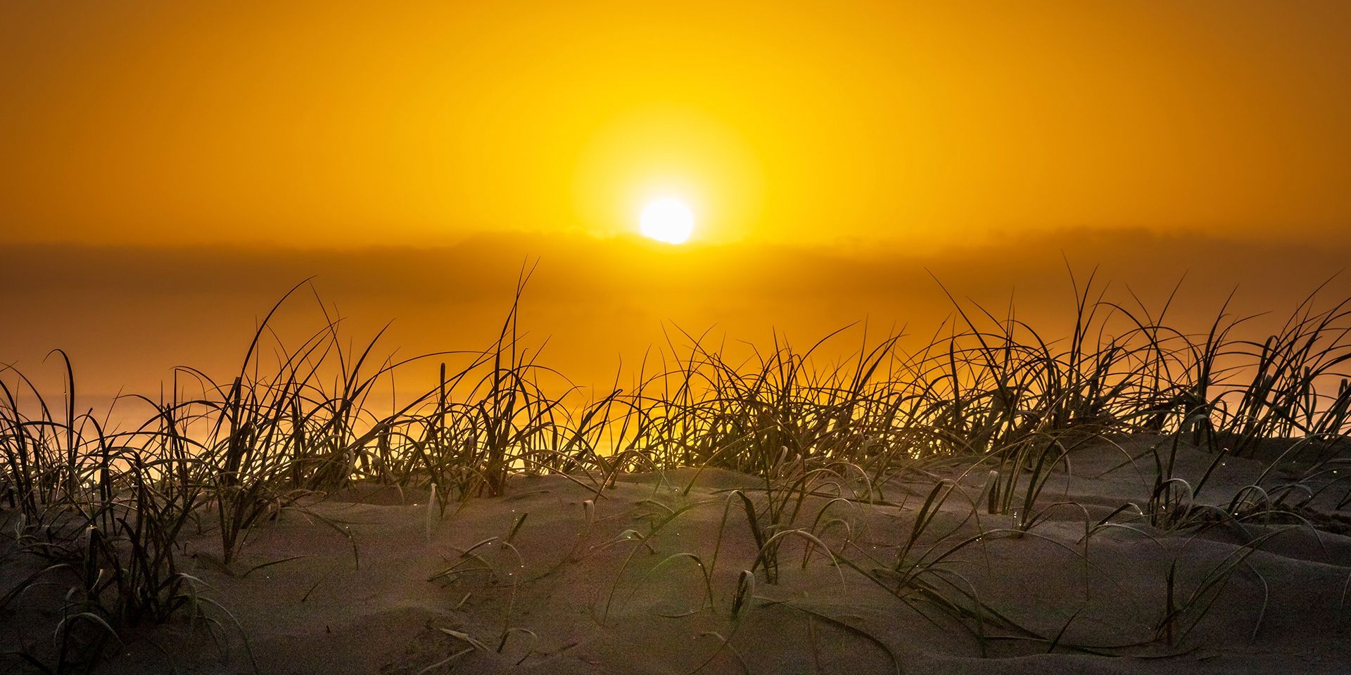 Amber extreme heat warning updated with heatwave forecast for many