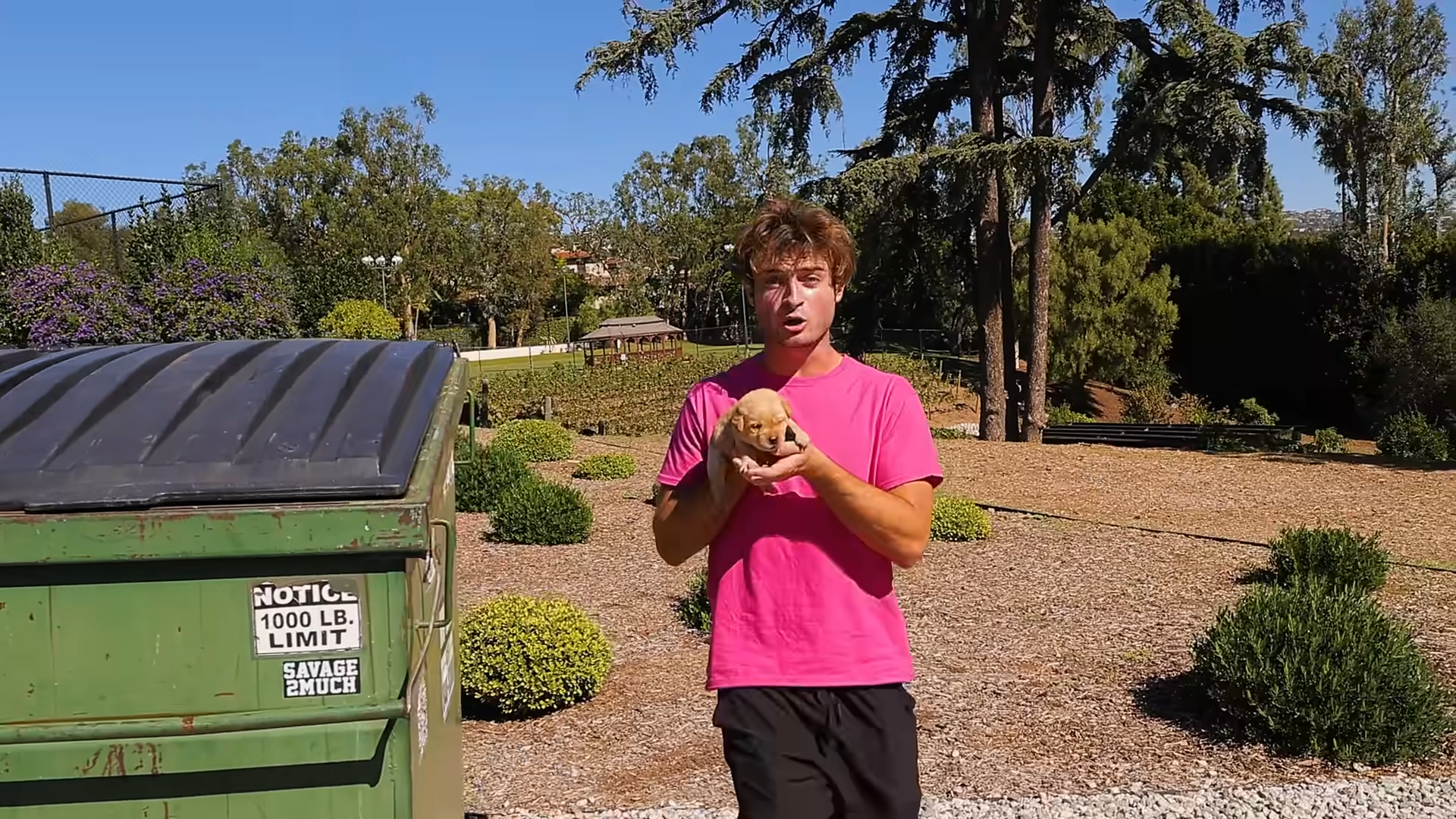 A puppy left by a dumpster exposed a strange kidnapping mystery