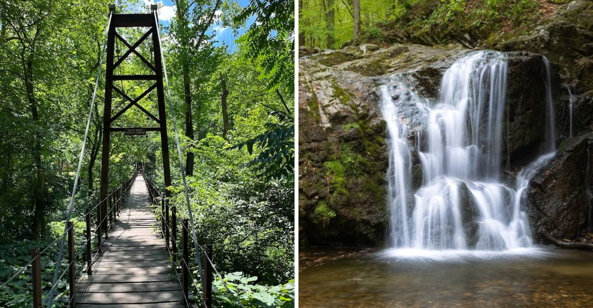 This Maryland hike leads to a waterfall and suspension bridge that feel ...