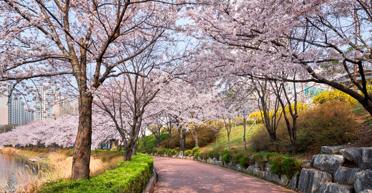 15 international spring trips that feel just right before summer crowds ...