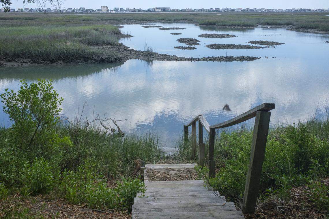 Murrells Inlet has grown immensely. How much more can the estuary take?