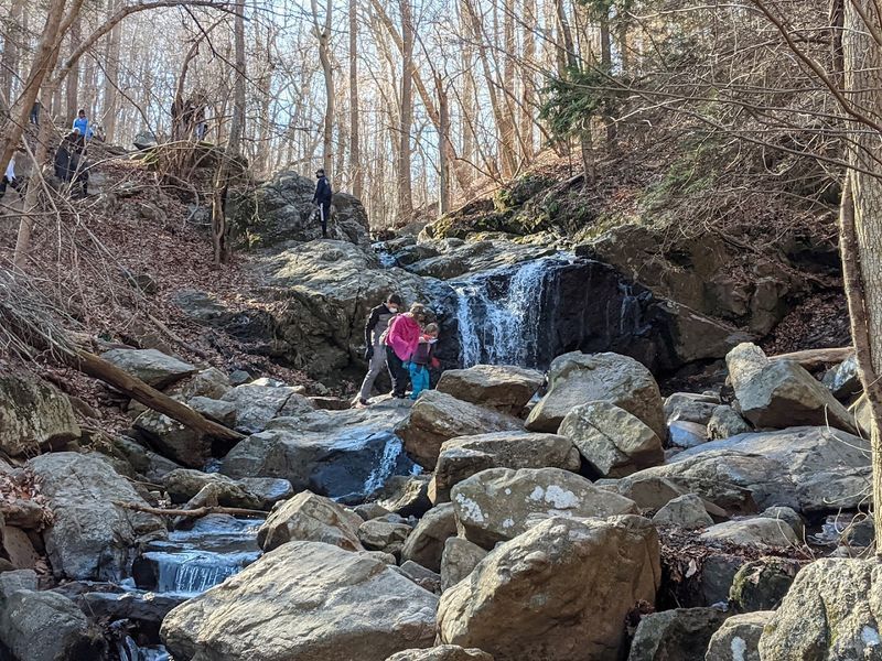 This Maryland hike leads to a waterfall and suspension bridge that feel ...