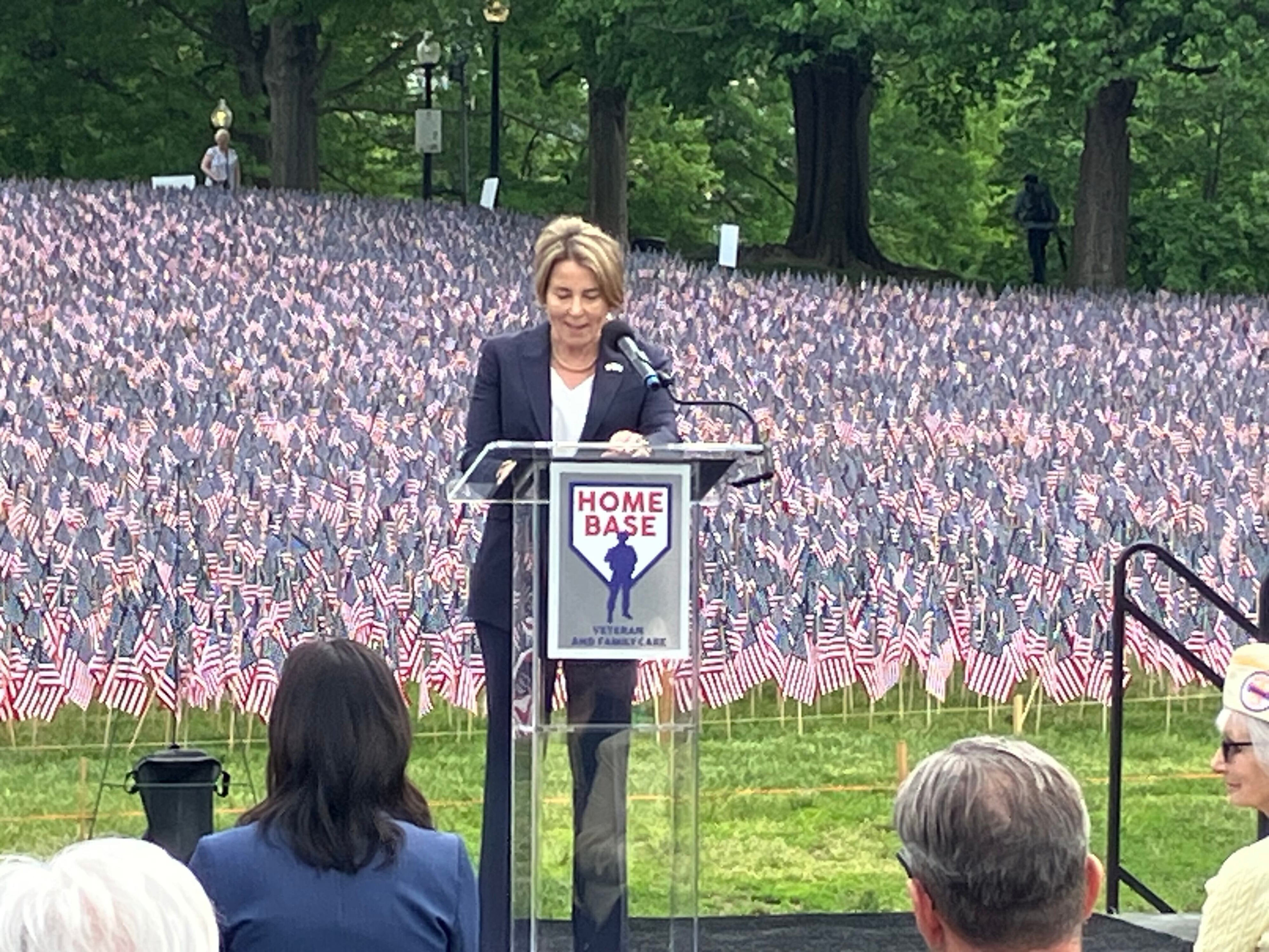 A sea of flags on Boston Common: Mass. remembers on Memorial Day | Bay ...