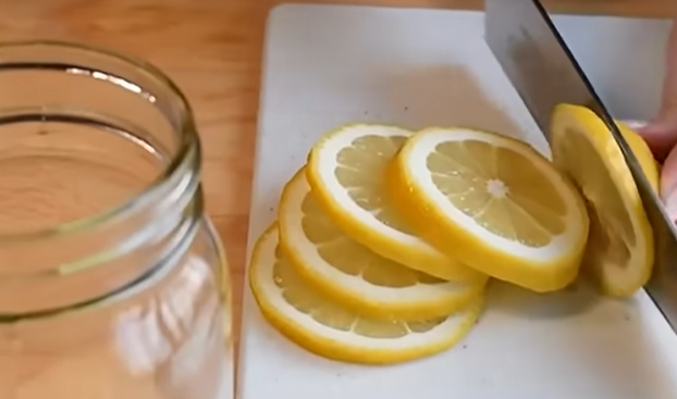 Expert's simple lemon trick creates invisible shield against houseflies