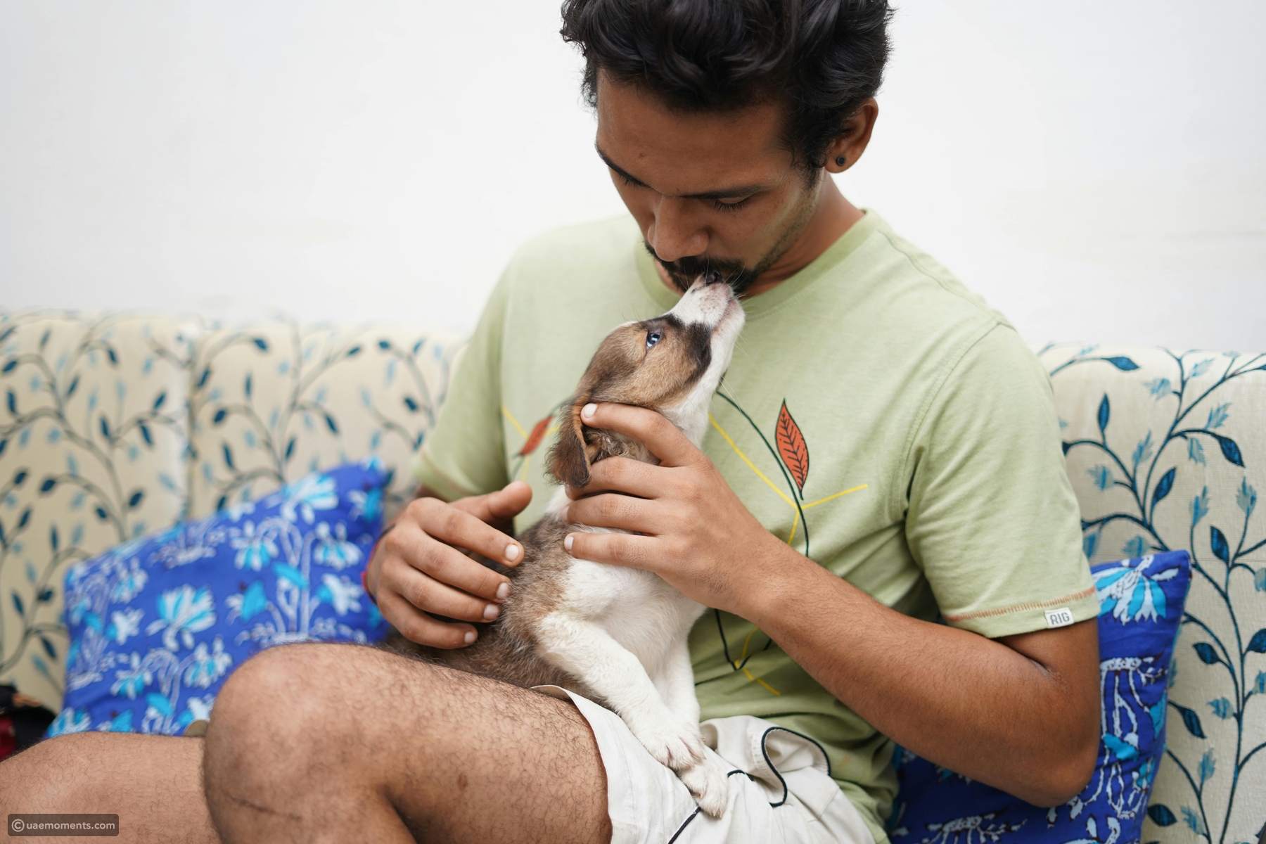 If your dog stares at you without blinking, here’s what it could mean
