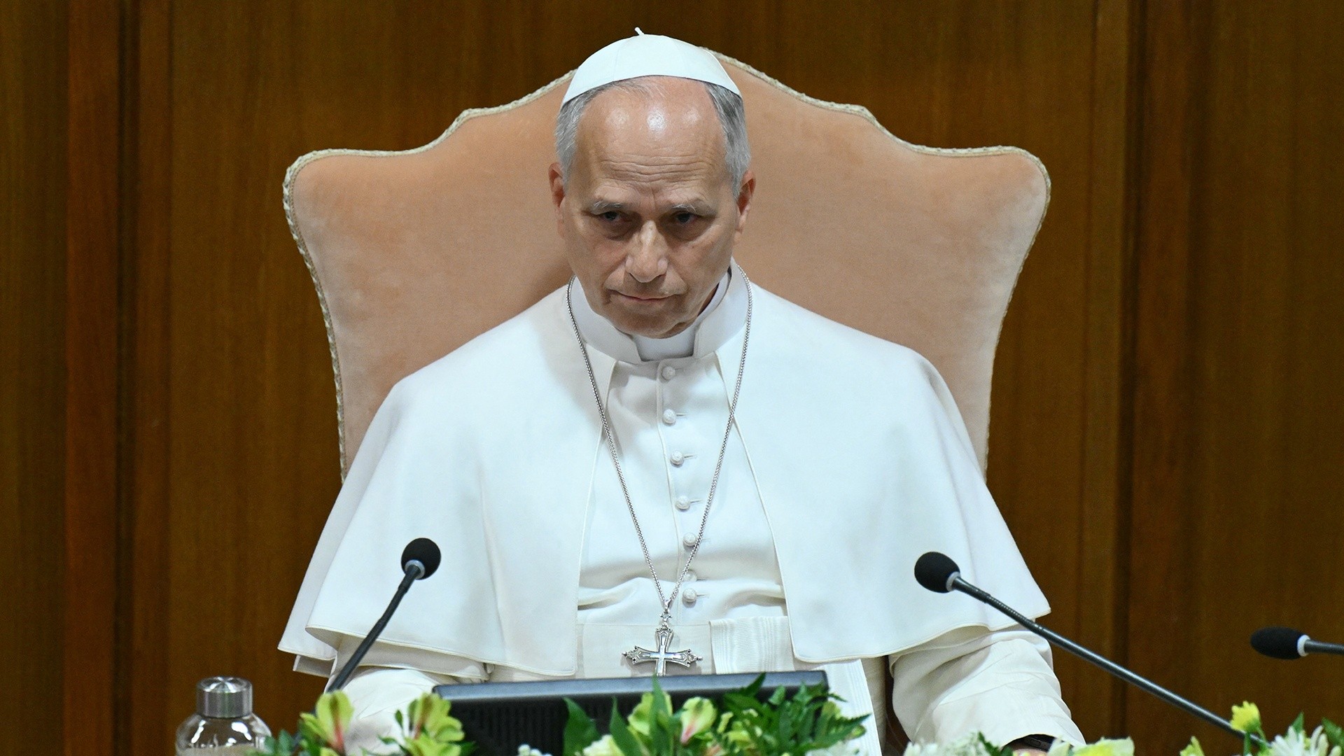 Pope Leo XIV warns of risks of AI, calls for robust regulation