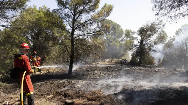 Aragón se prepara contra los incendios forestales del verano: 630 ...