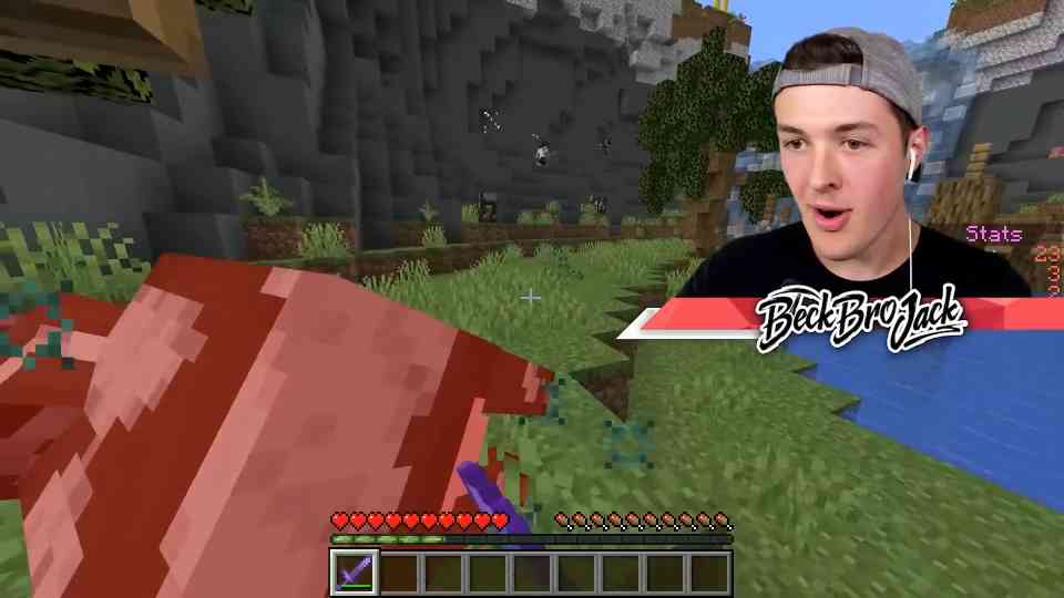 Extreme animal hide & seek in Minecraft!