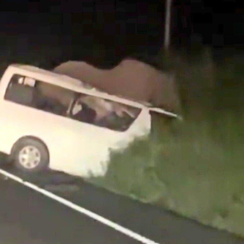 Minibus crashes into elephant, killing 3 people in Uganda national park