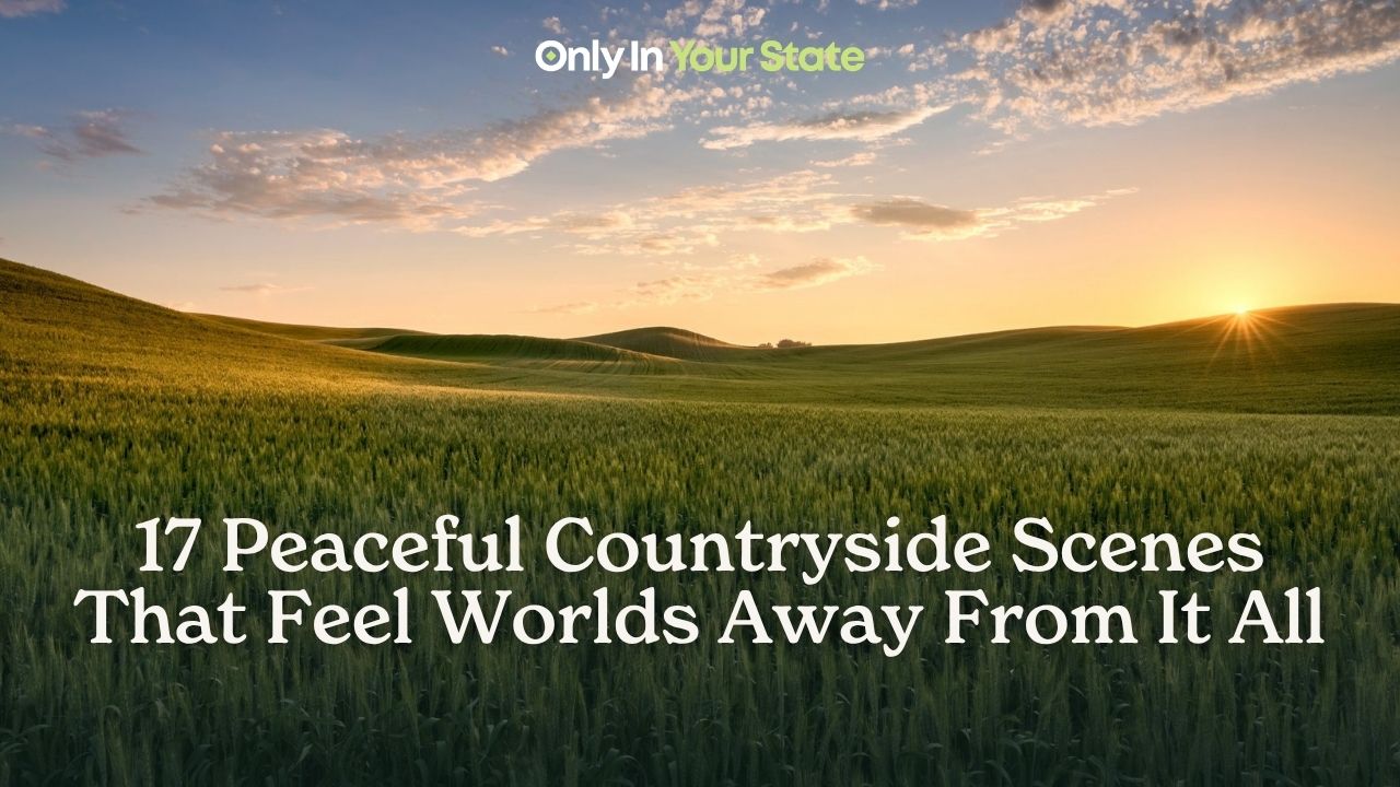 17 peaceful countryside scenes that feel worlds away from it all