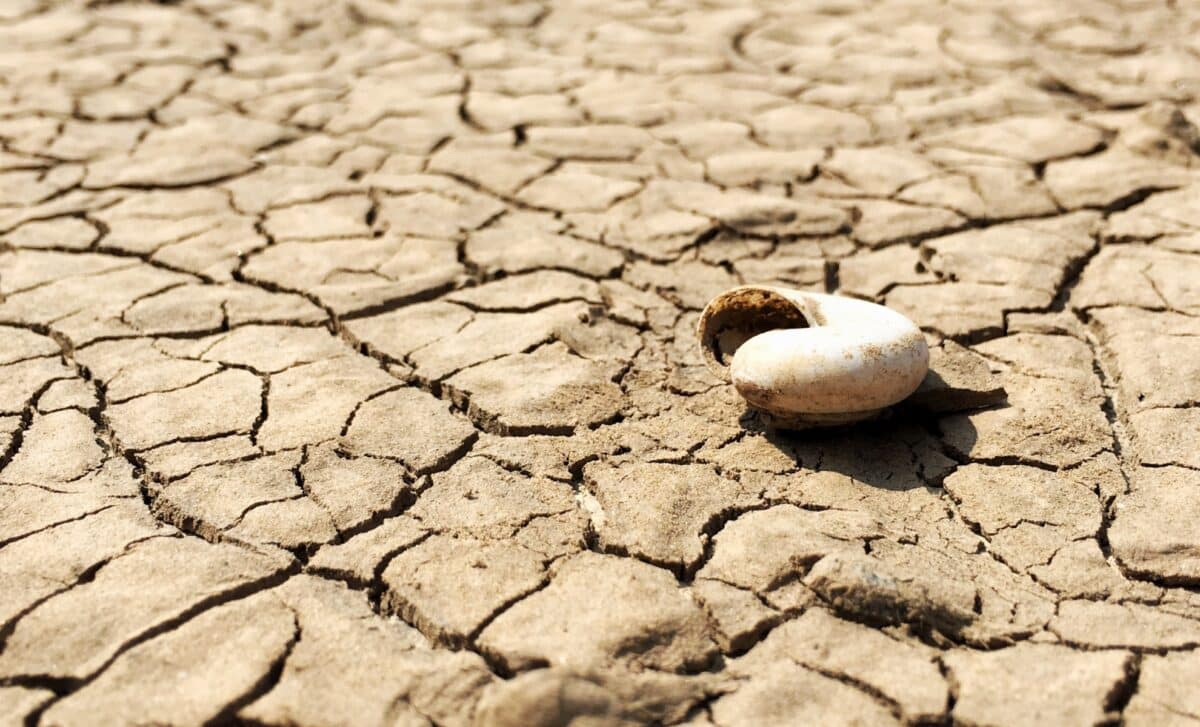 NOAA warns: A massive heat pulse beneath the Pacific could trigger one ...
