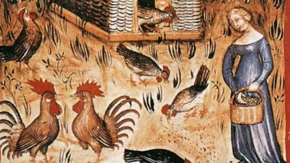 How peasants survived the plague