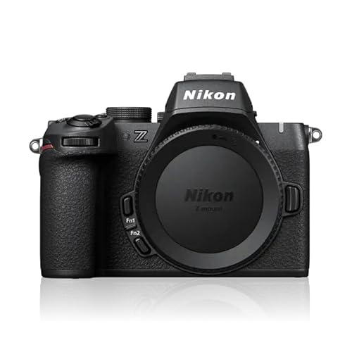 Cheapest mirrorless cameras with good photo and video quality