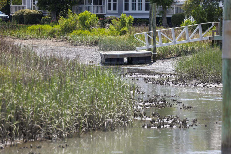 Murrells Inlet has grown immensely. How much more can the estuary take?