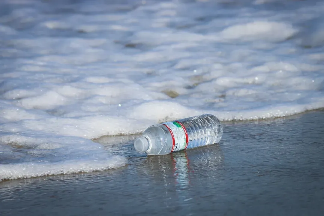 This 'miracle tree' can filter over 98% of microplastics straight out ...