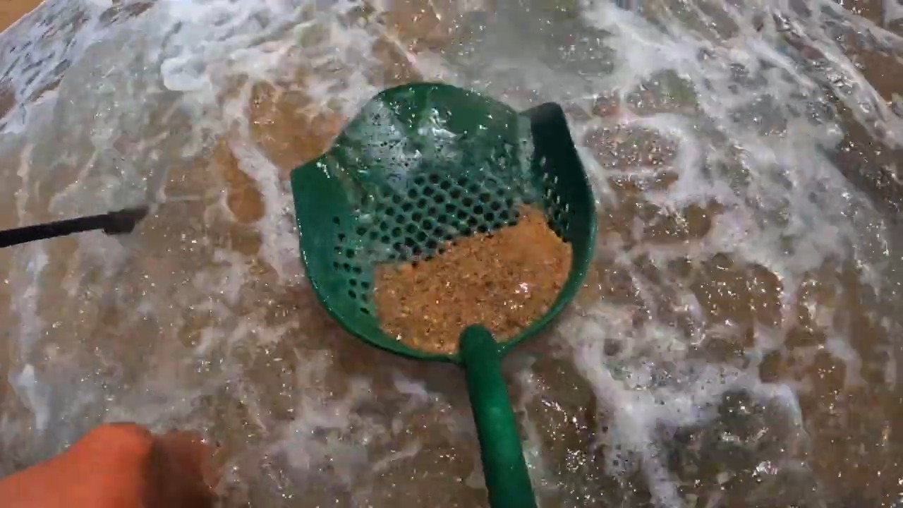 They searched party-beach sand for gold - then found a man’s lost ...