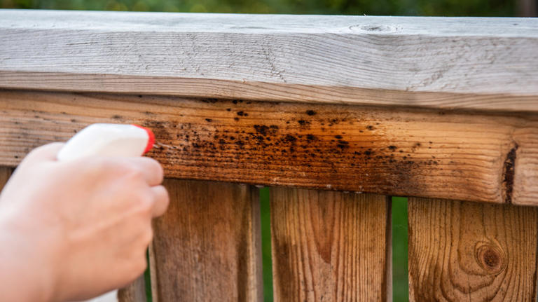 Say goodbye to carpenter bees with a natural ingredient they hate