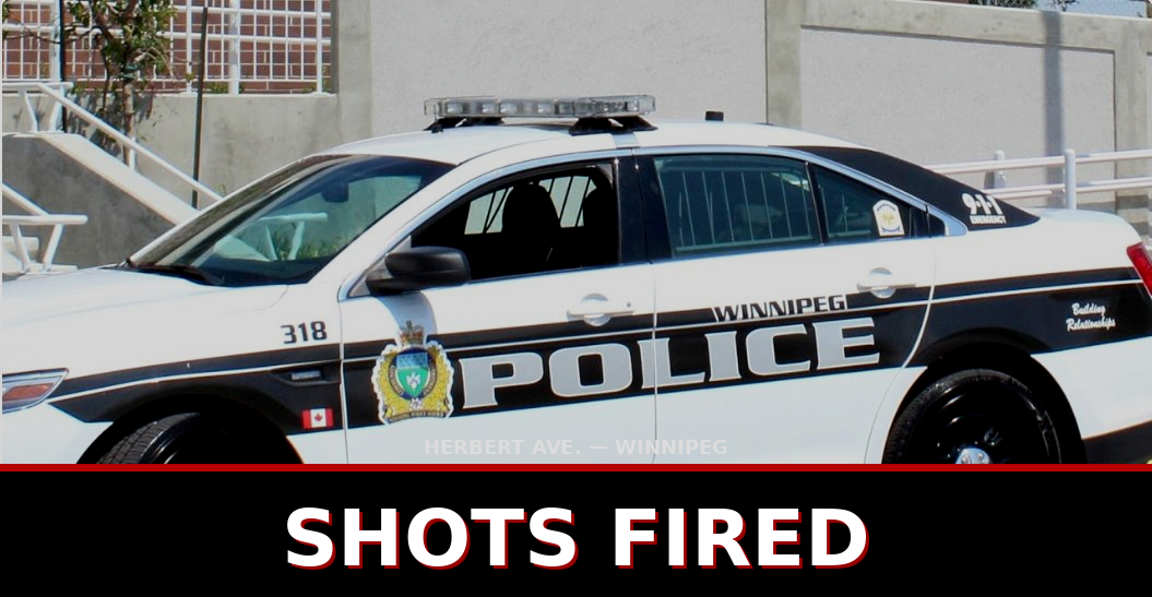 Winnipeg police tactical team rescues teens, suspect shot