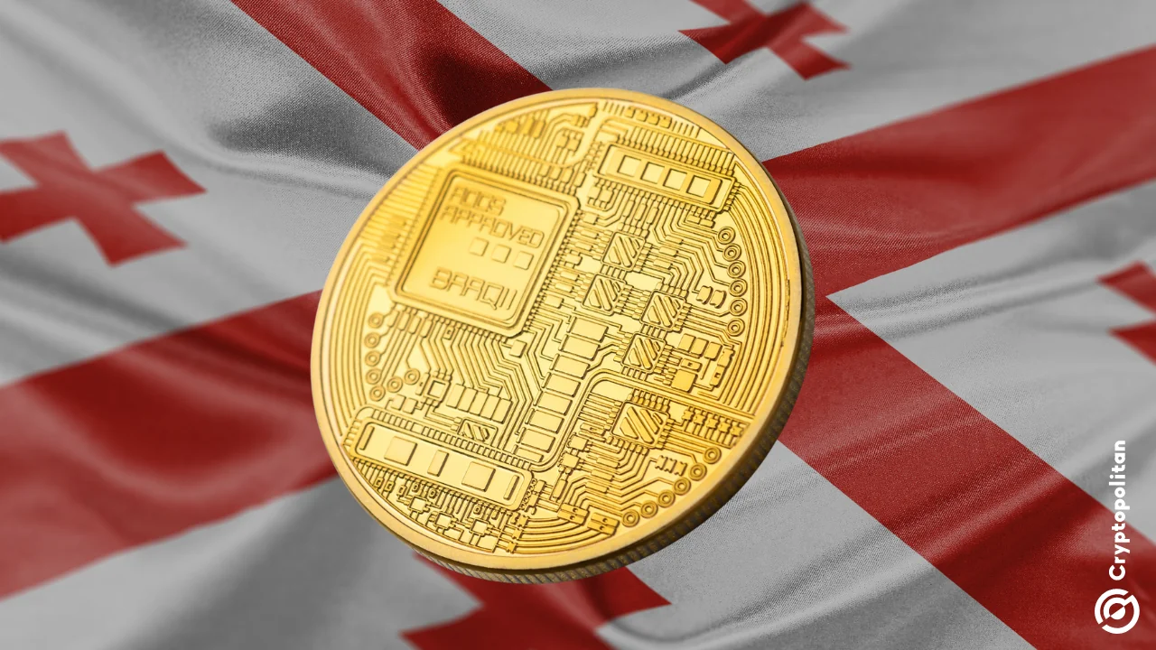 Georgia reiterates crypto commitment as Tether unveils government ...