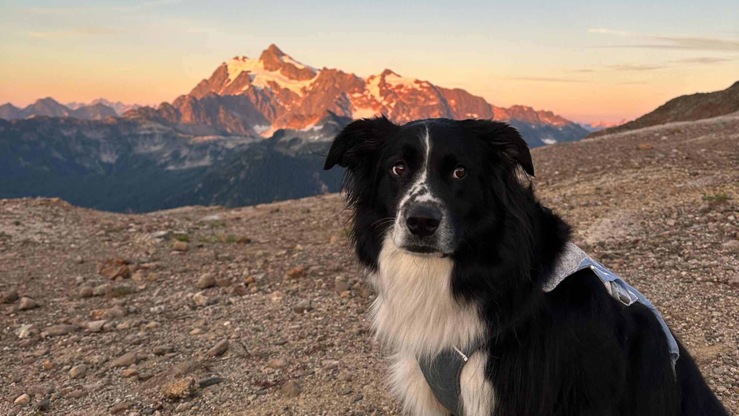 Hike with your dog on these national-park adjacent trails