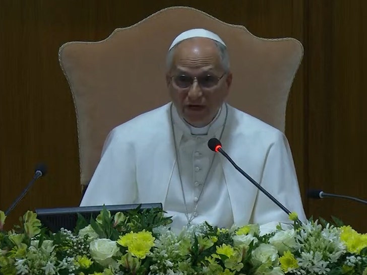 Pope Leo warns artificial intelligence could threaten humanity