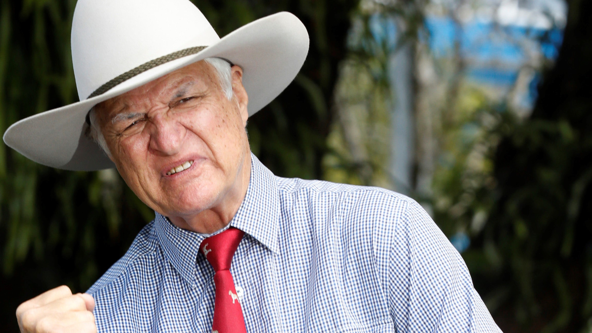 ‘We’ll keep dying’: Bob Katter demands shark culling after horror ...