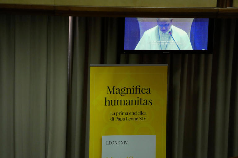 Pope Leo XIV makes historic apology for Vatican's role in legitimizing ...