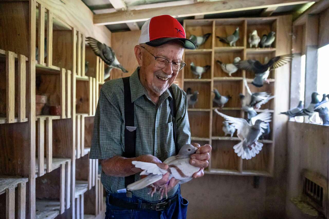 For these old friends, joy is the wind beneath a pigeon's wings