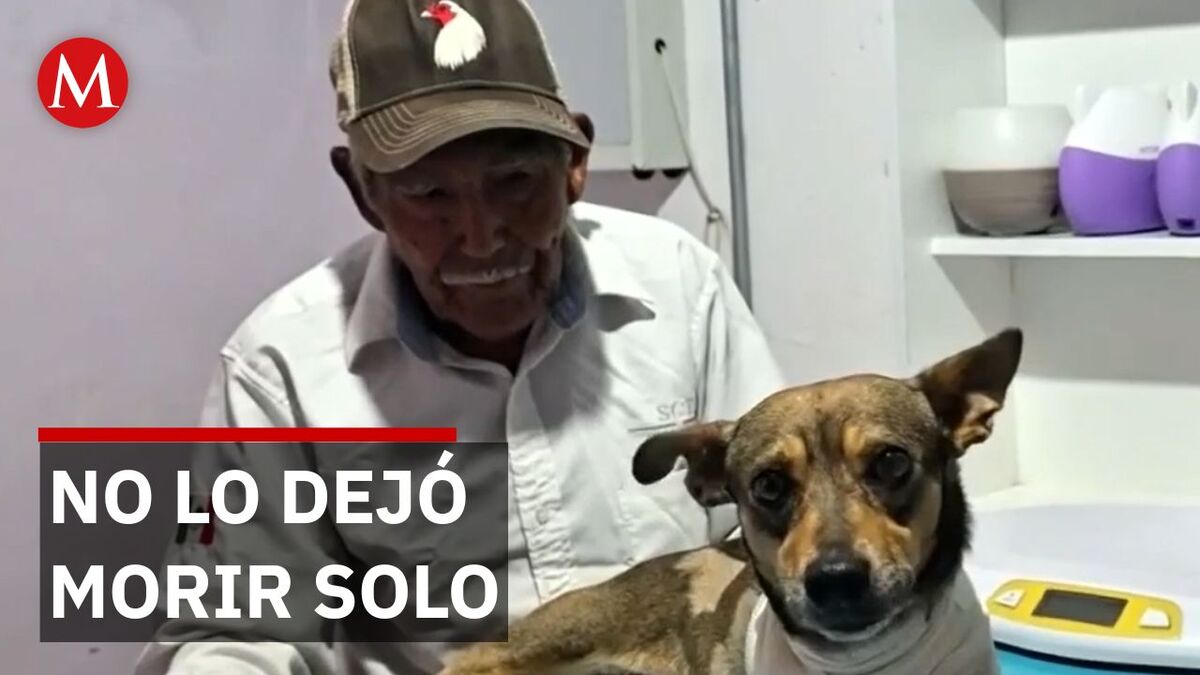 Don Felipe se negó a perder a 'Maylo' tras brutal atropello, en Pachuca ...