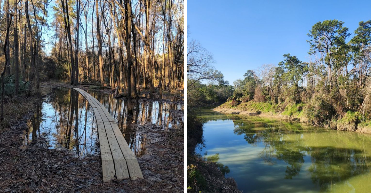 This 12,000-acre Texas park feels normal at first, until you wander ...