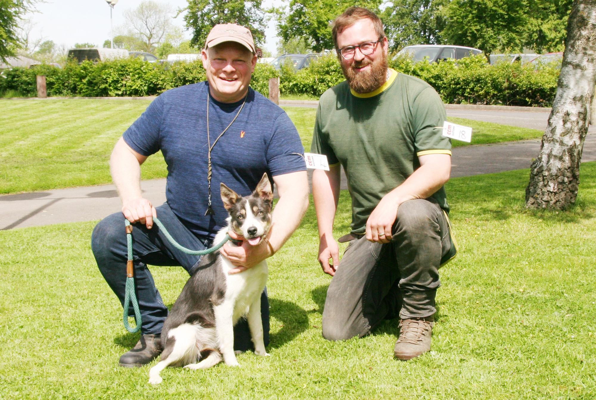 Tony Birkett bags 7800gns top at Skipton CCM working sheepdog sale