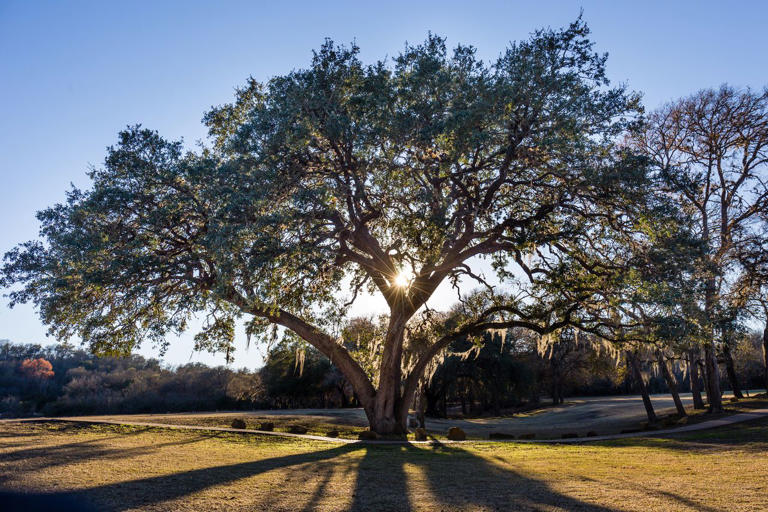 This is the 'barbecue capital of Texas'—and it has a cute town square ...