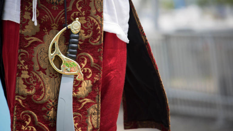 Police called out over cosplayer's plastic sword