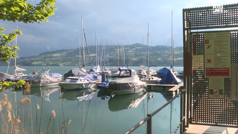 Fischer am Hallwilersee warnen vor Dieben
