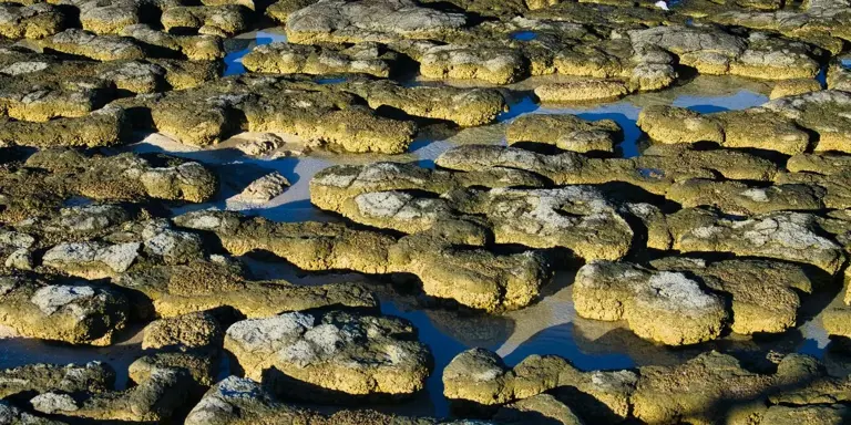 Ancient crater discovery is making researchers rethink life on Earth