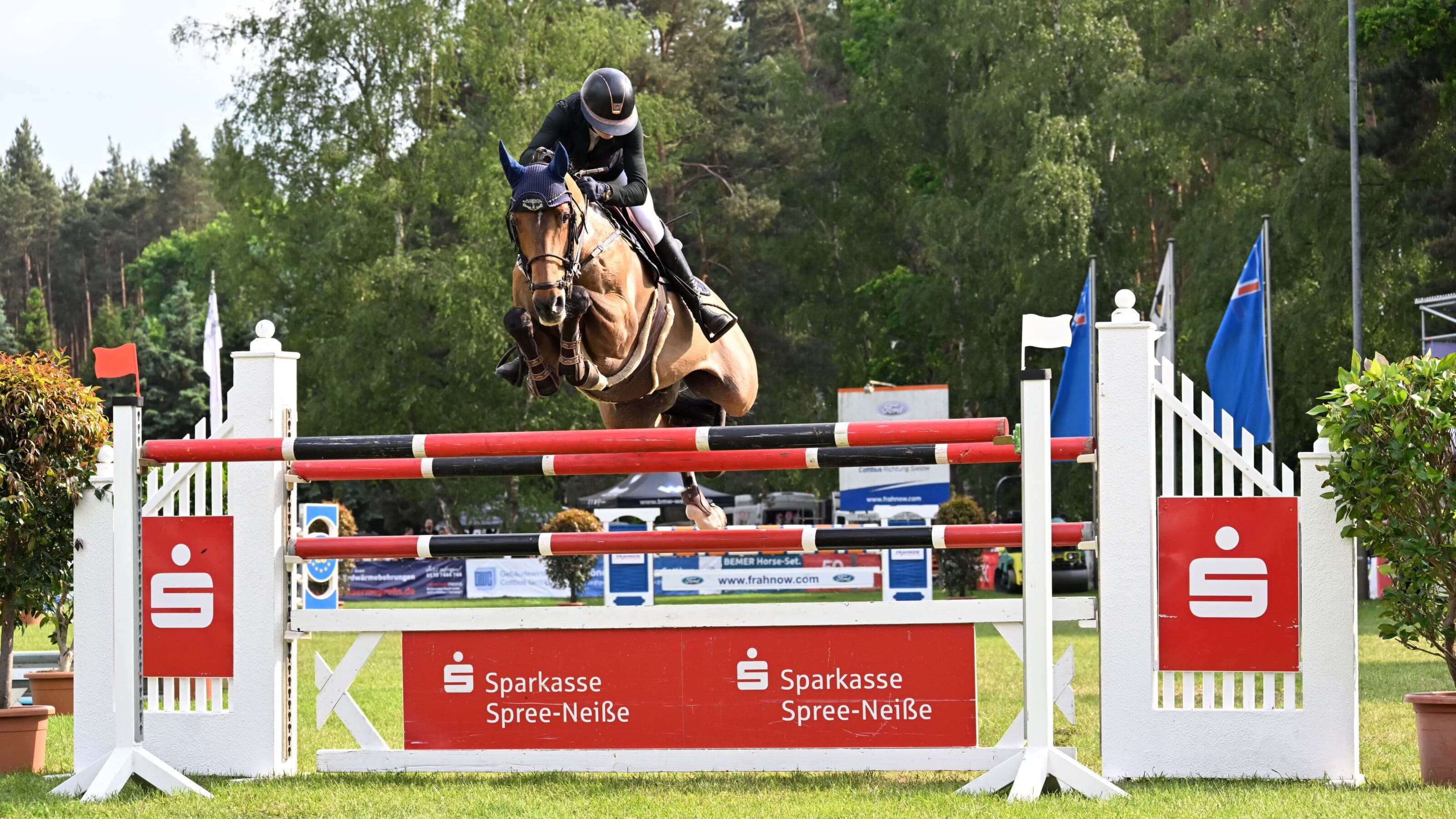 Reiten in Cottbus: Höhepunkte und Fotos vom Springturnier in Sielow 2026
