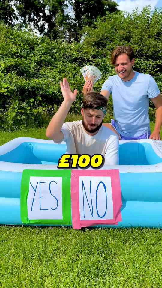 No yes, no no... still no brain cells