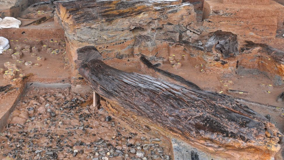 Ancient bone crystals push Chinese site into ice age
