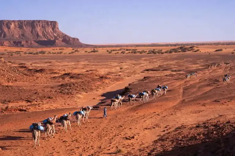 Chade: Uma viagem ao último recanto virgem de África