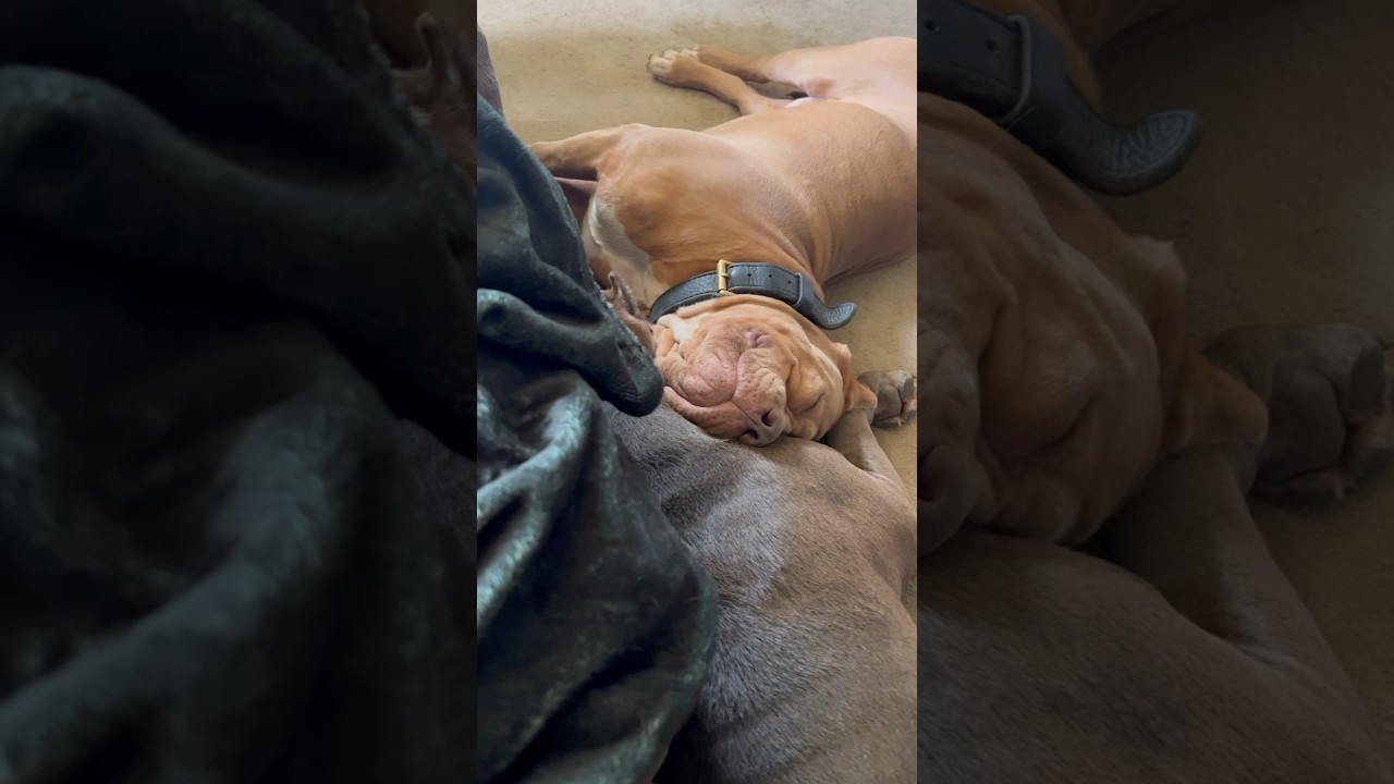 Despite his size he’s still the baby of the family