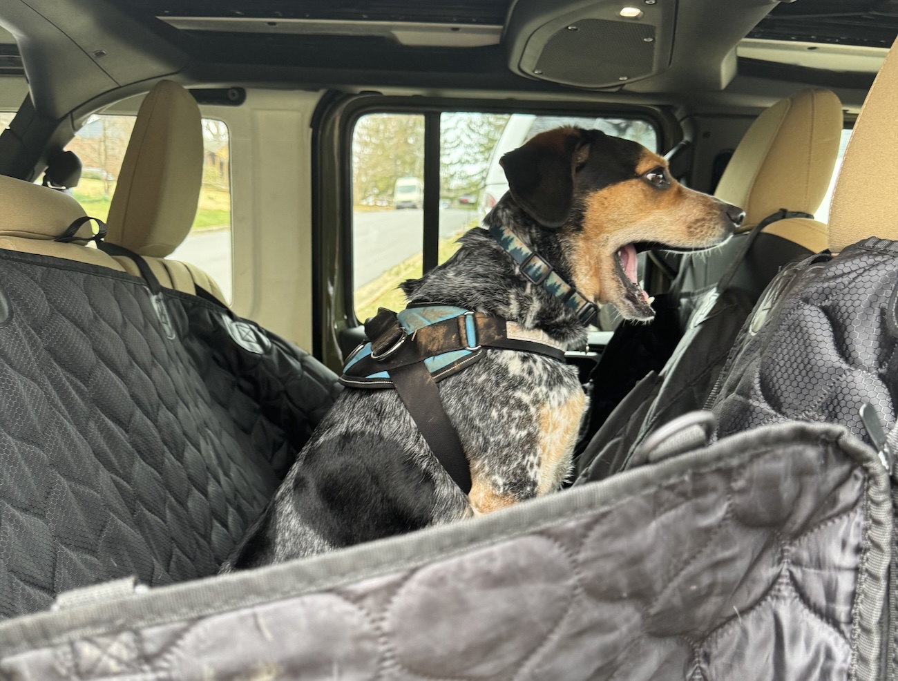 Mopaw’s pet travel accessories will keep your dog and your Jeep—or any ...